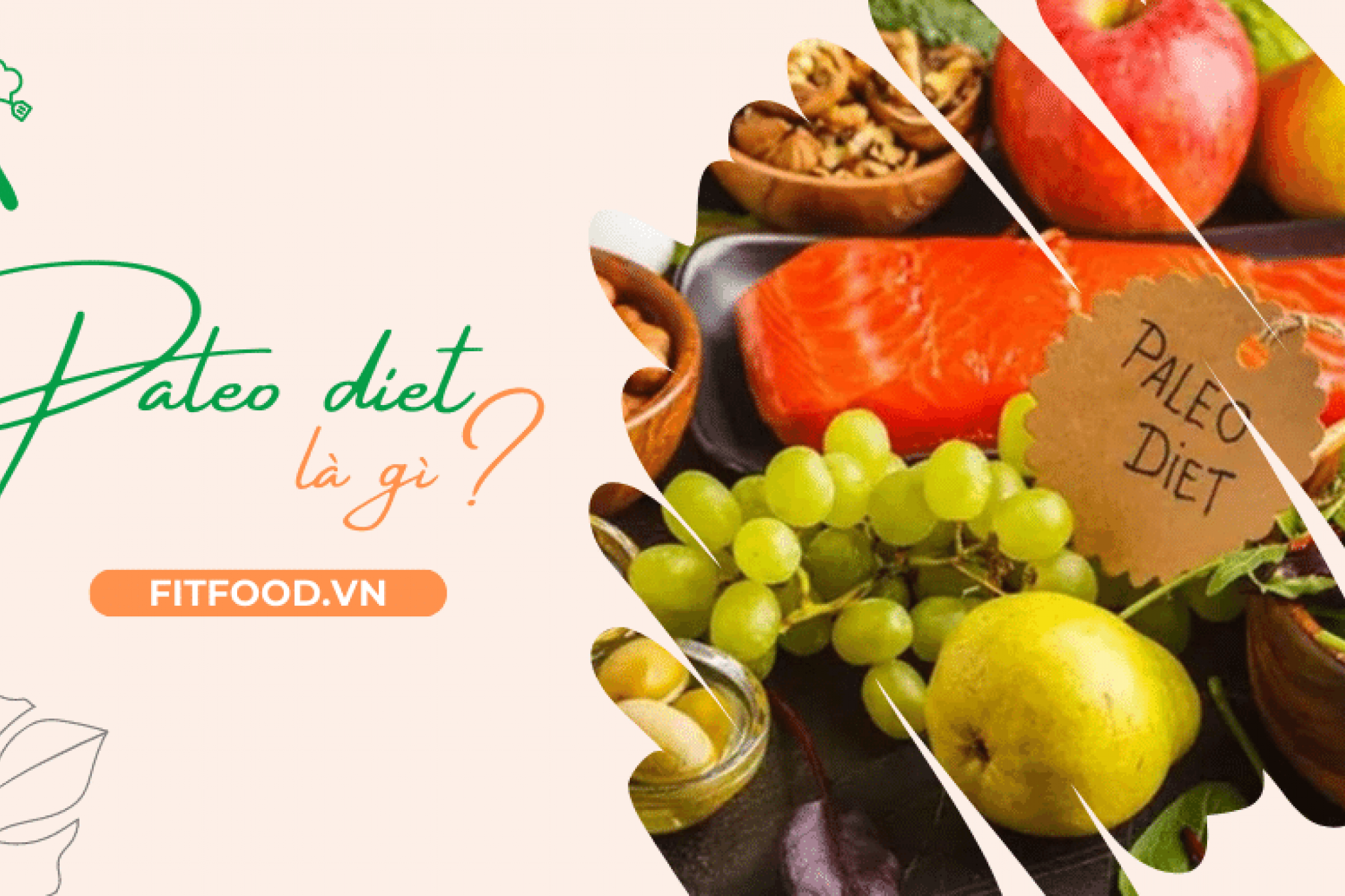 PALEO DIET LÀ GÌ? CHẾ ĐỘ ĂN PALEO DIET GIẢM CÂN CÓ HIỆU QUẢ?